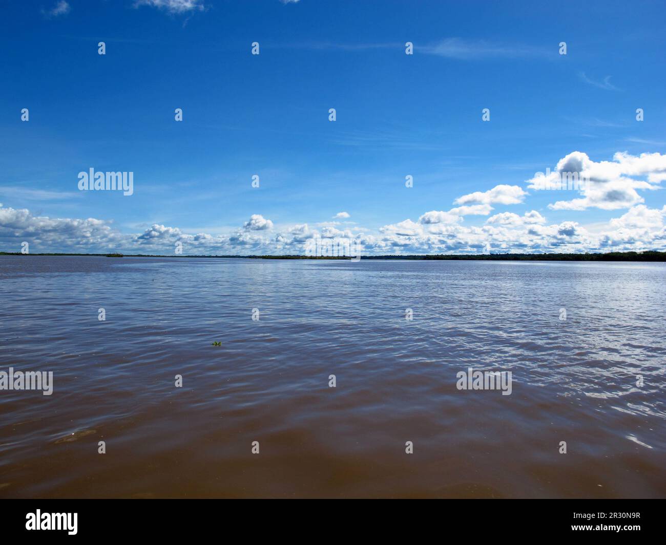 Amazonie manaus hi-res stock photography and images - Alamy