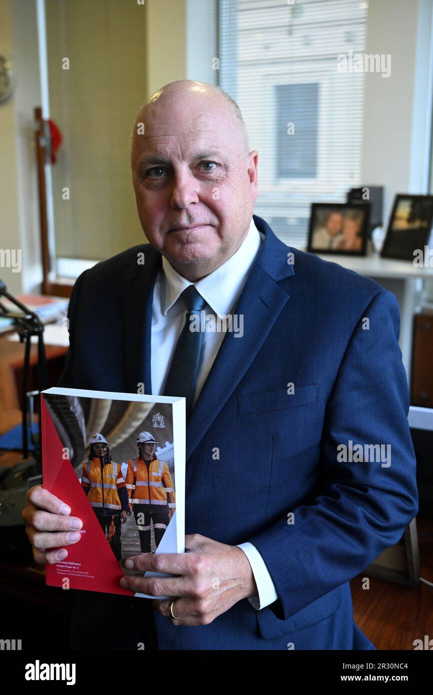 Victorian Treasurer Tim Pallas poses for a portrait ahead of the 2023 ...