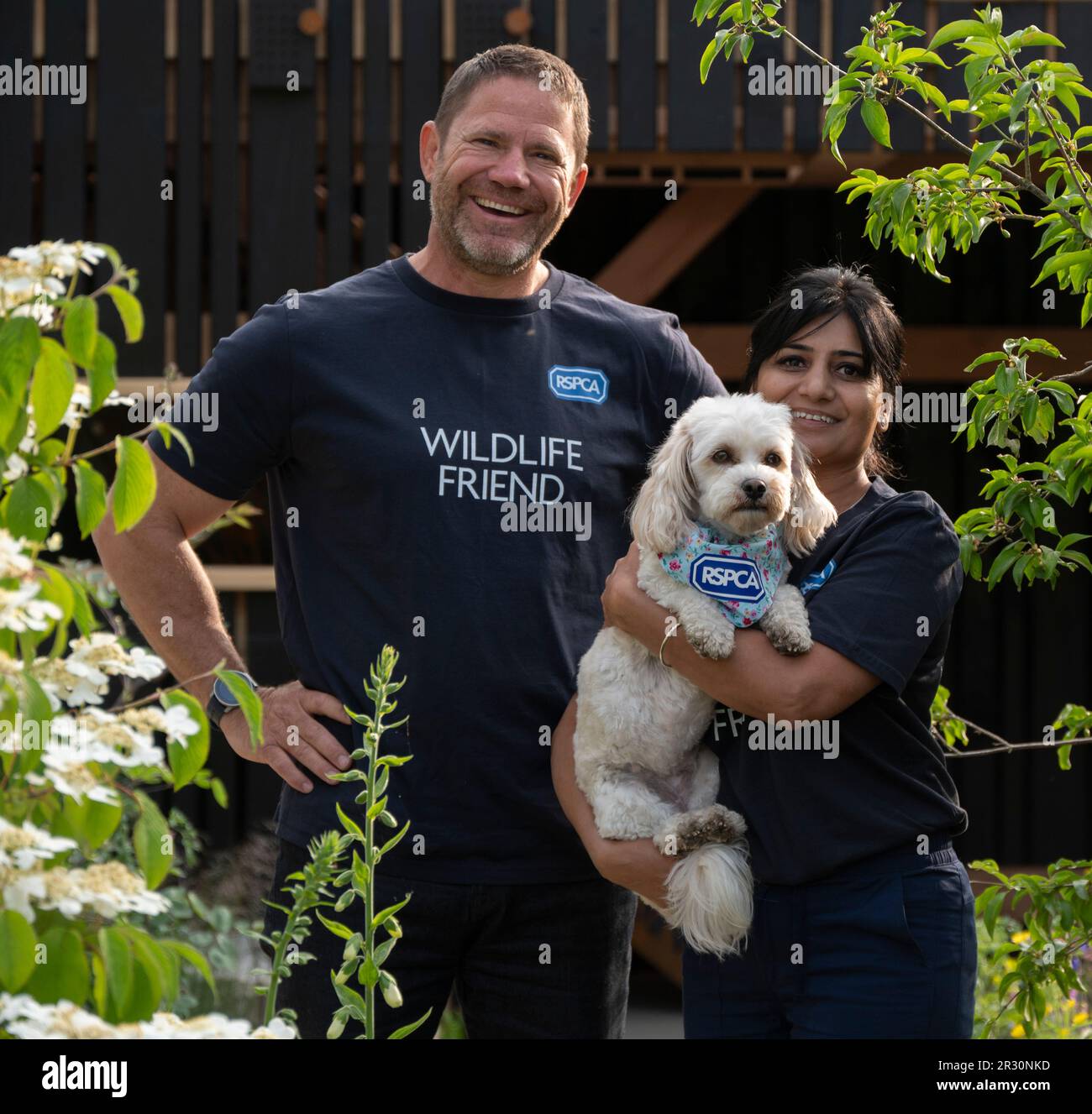 Daisy an rspca rescue dog hi-res stock photography and images - Alamy
