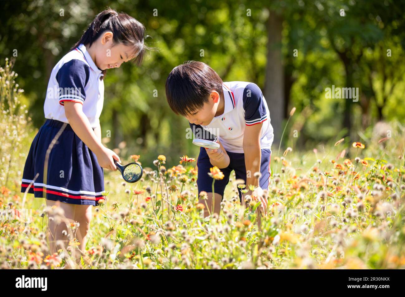 Little Chinese explorers discovering the nature Stock Photo - Alamy