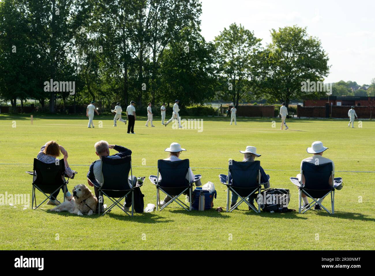 Cricket spectators hi-res stock photography and images - Alamy