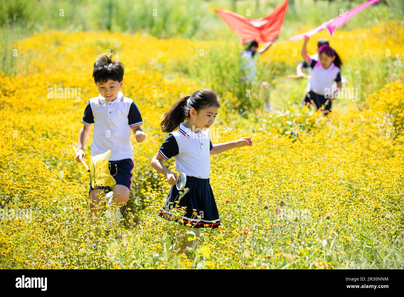 Little Chinese explorers discovering the nature Stock Photo - Alamy