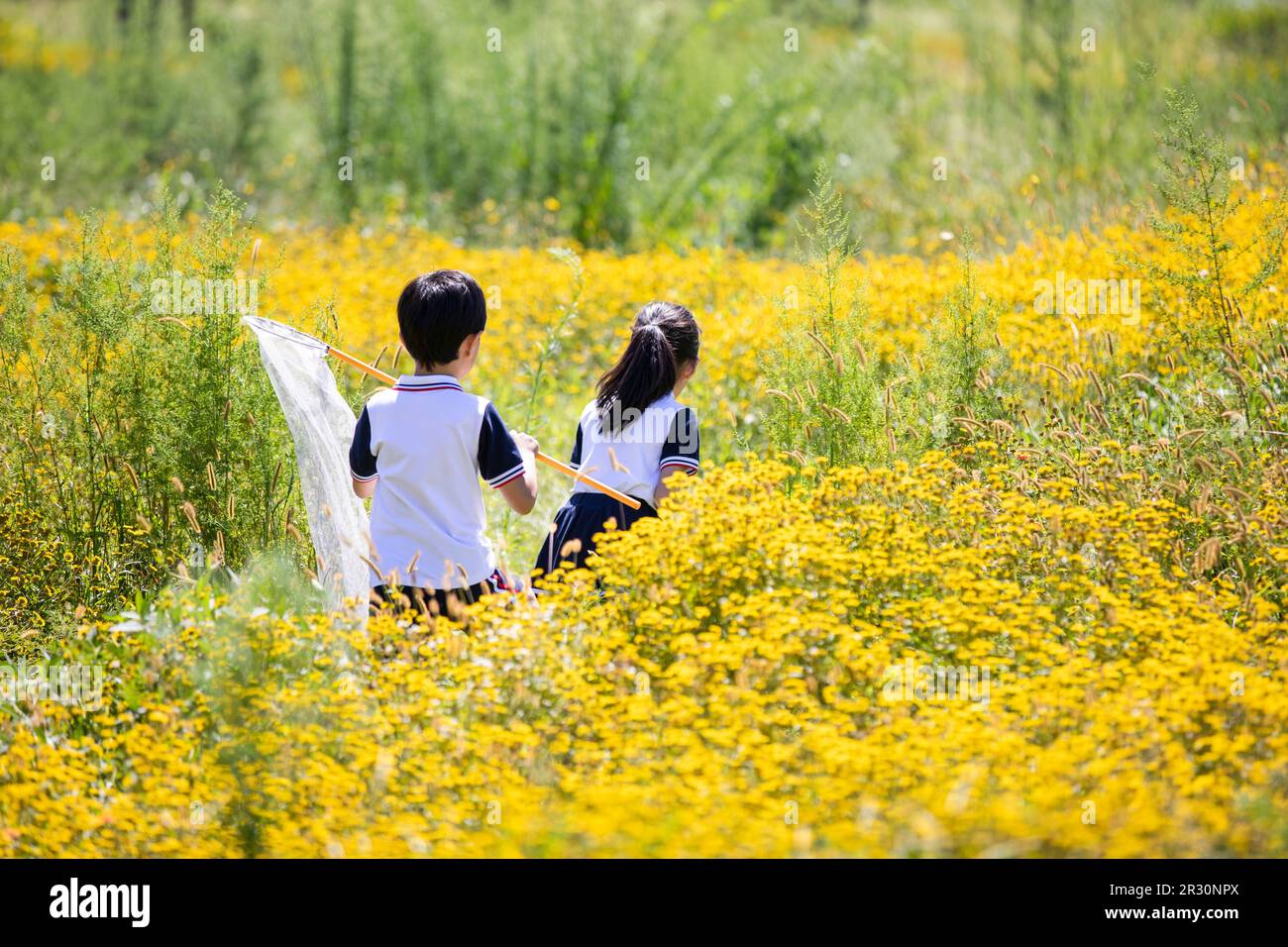 Cheerful Chinese school children relaxing in park Stock Photo - Alamy