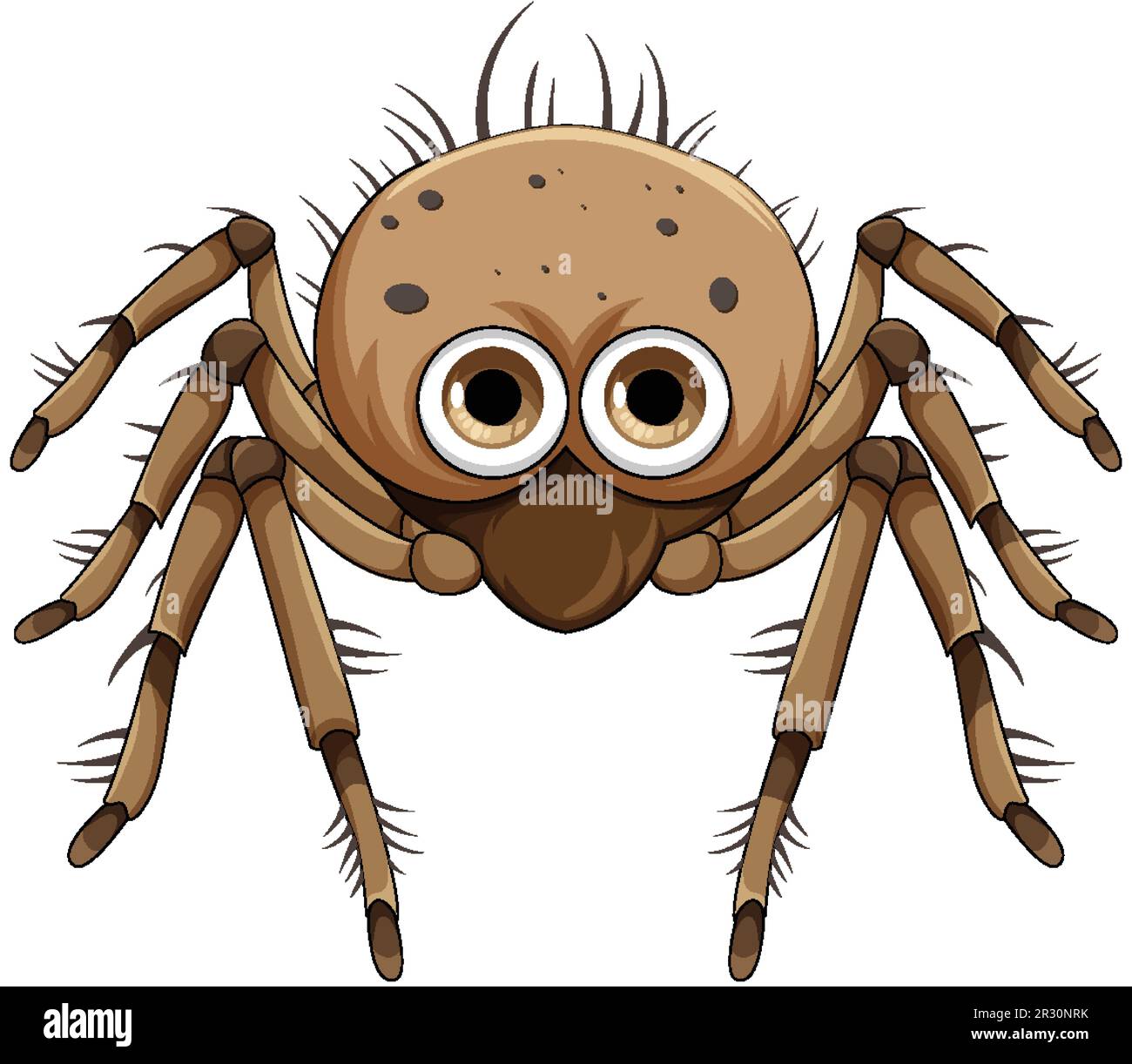 Black spider cartoon isolated illustration Stock Vector Image & Art - Alamy
