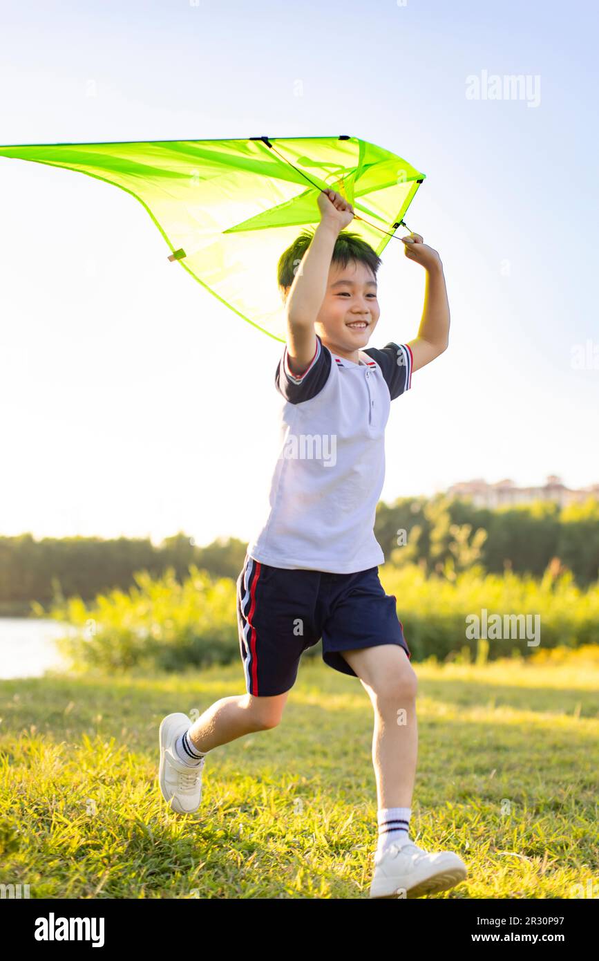 Cheerful Chinese boy flying kite on meadow Stock Photo - Alamy