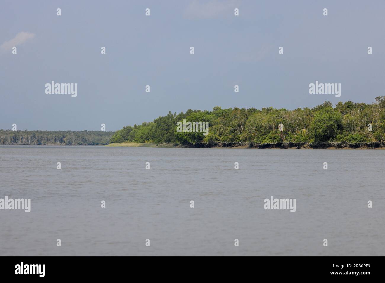 Sundarbans is a tidal wetland forest delta with an area of about 10,200 ...