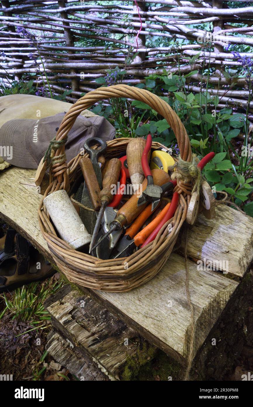 Rustic willow trug basket with tools Stock Photo - Alamy
