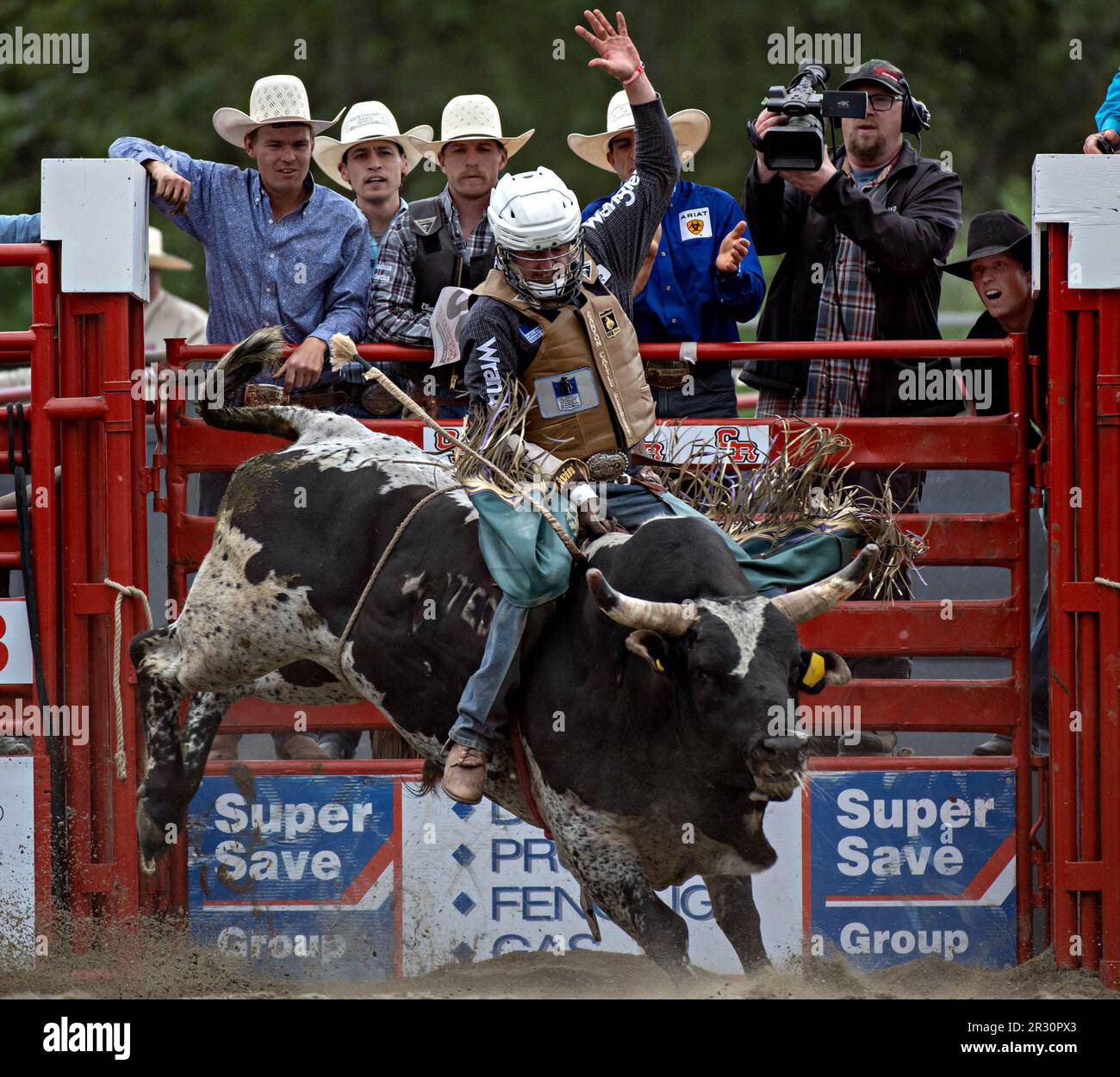 Surrey, Canada. 21st May, 2023. A rider competes in the bull riding at ...