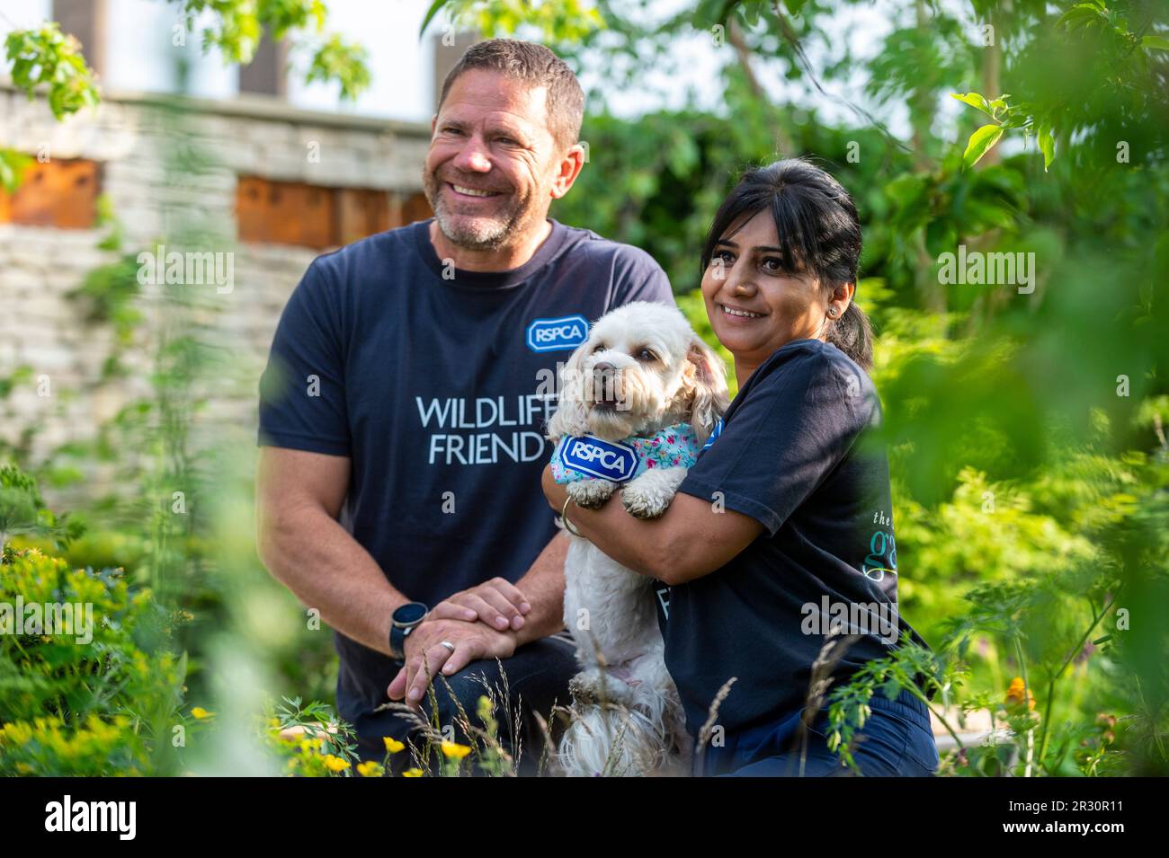 Daisy an rspca rescue dog hi-res stock photography and images - Alamy