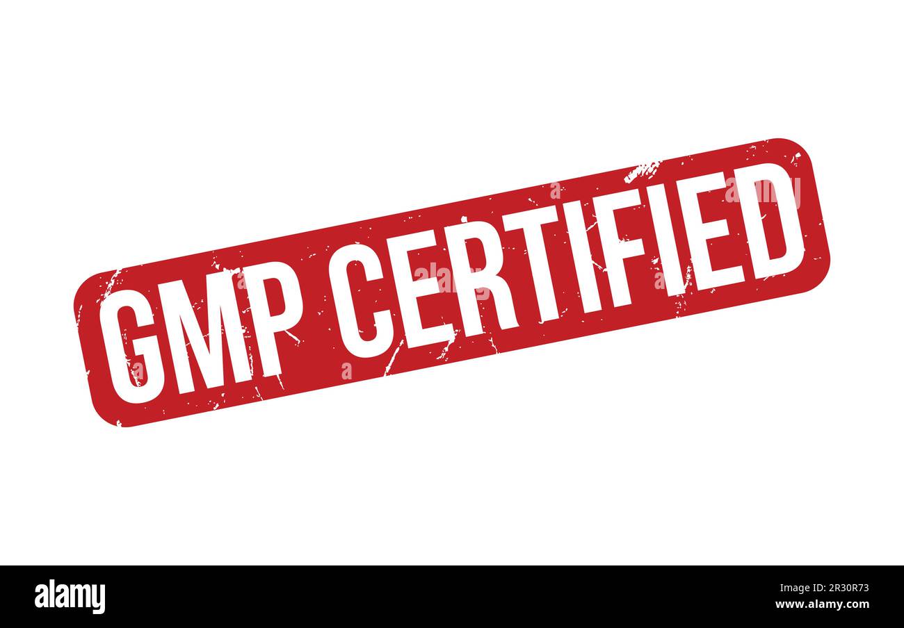 Gmp Certified rubber grunge stamp seal vector Stock Vector Image & Art ...