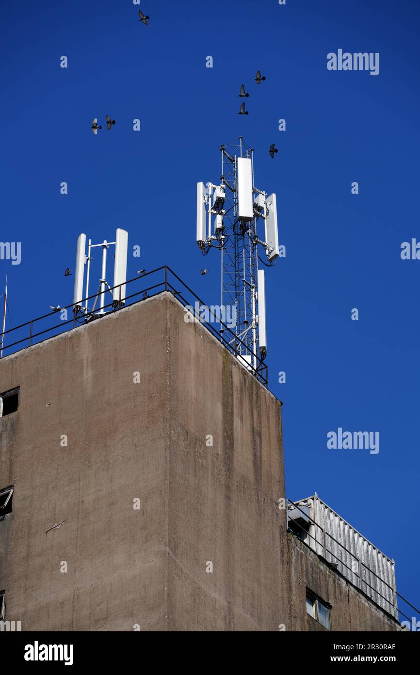 Mobile Towers on Derelict Industrial Building with Pigeons Stock Photo ...