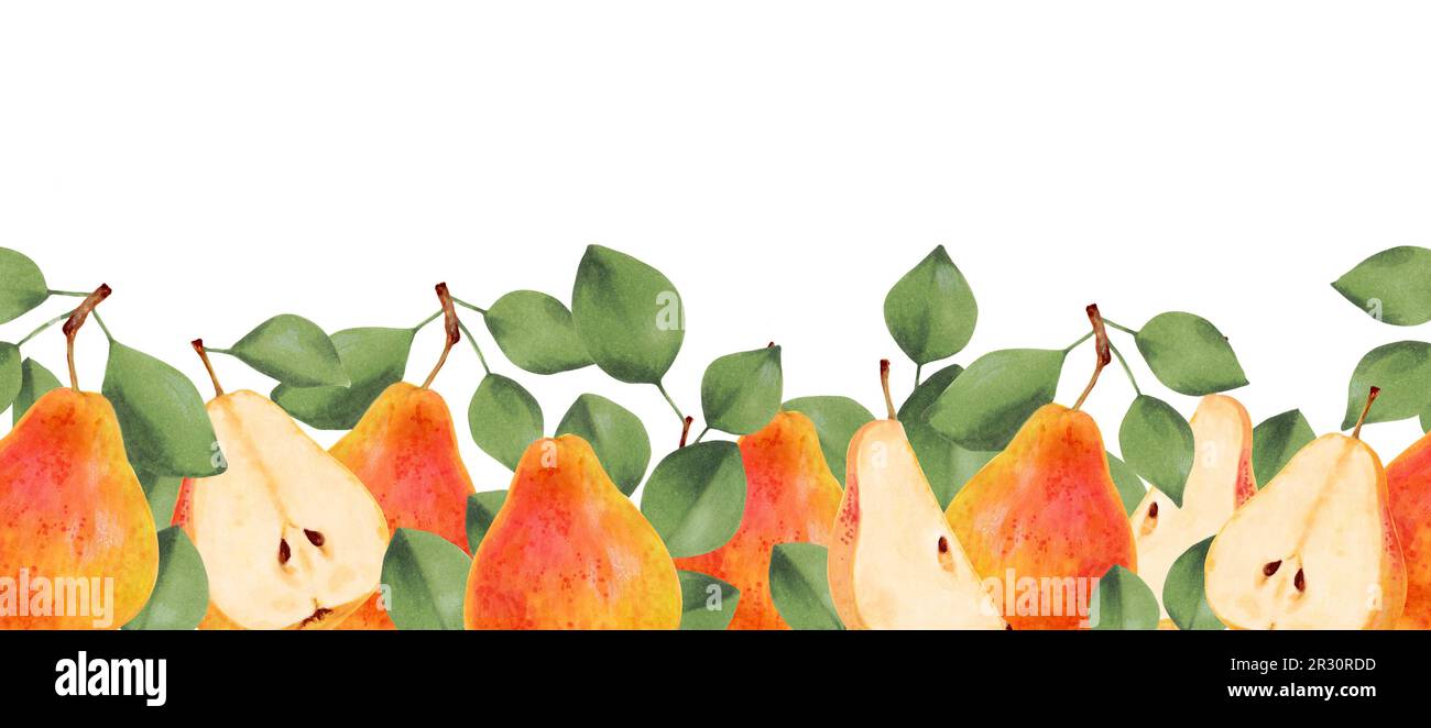 Pear fruit border. Half, whole, pieces of yellow pear with leaves ...