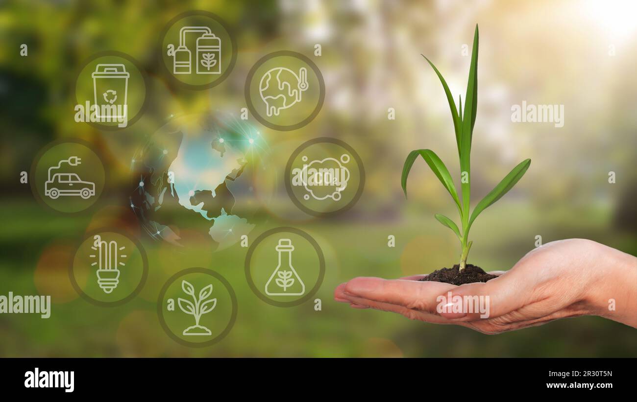 Woman's hand with sprout on green blured nature background with eco ...