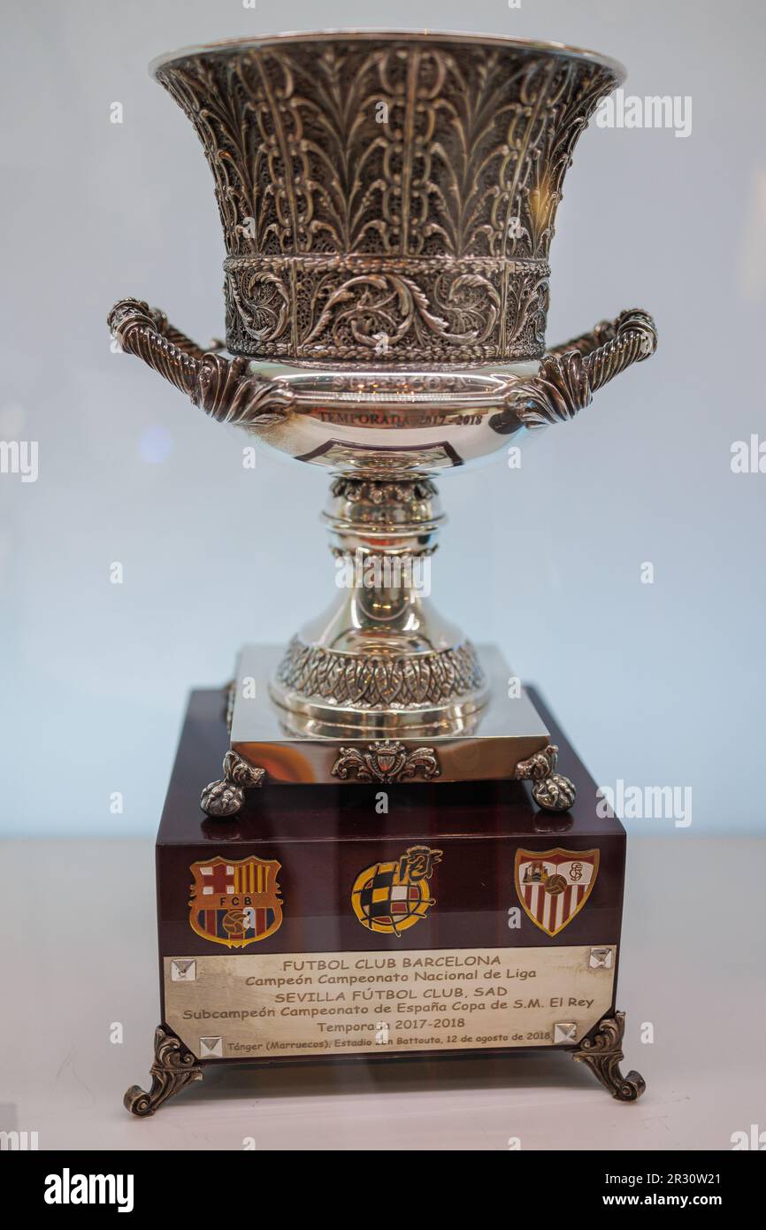 Cup Symbolizing Victory in a Competition for Barcelona Football Club ...