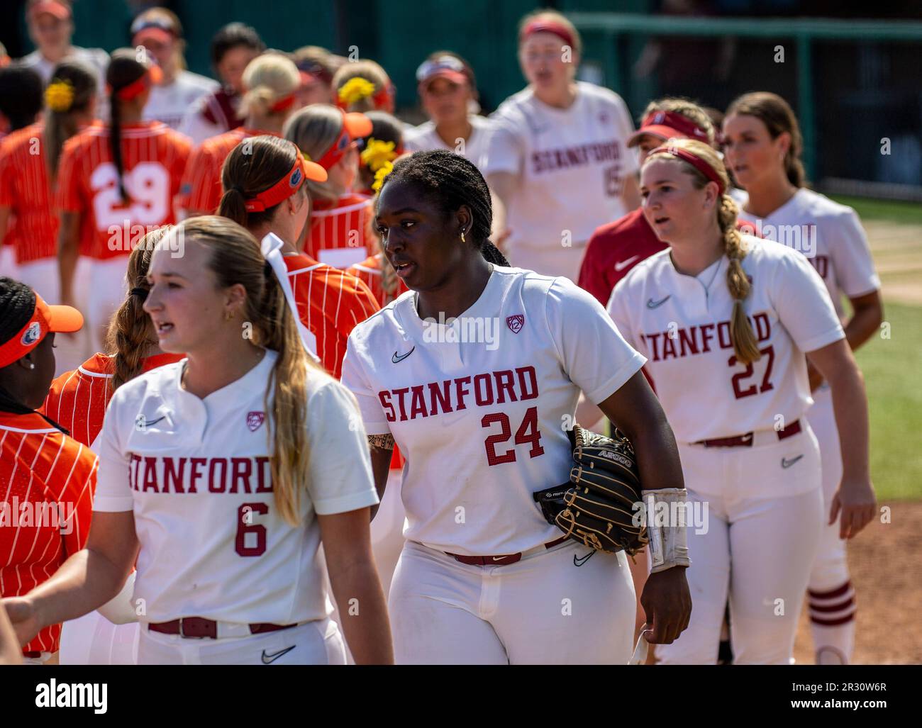 Nijaree hi-res stock photography and images - Alamy