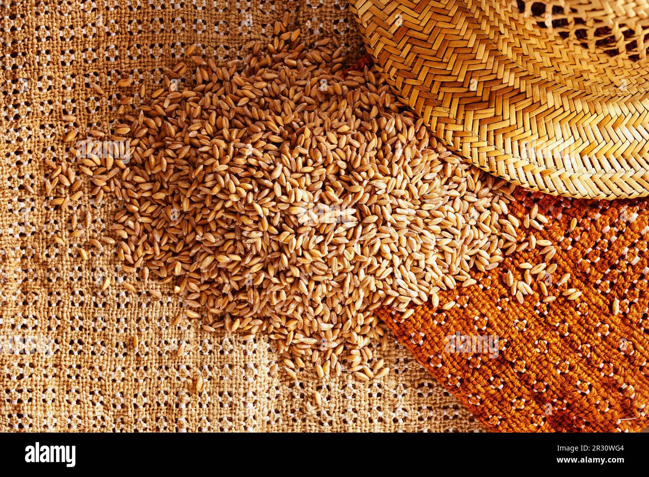 Uncooked spelt on colored background, ,cereal grains Stock Photo - Alamy