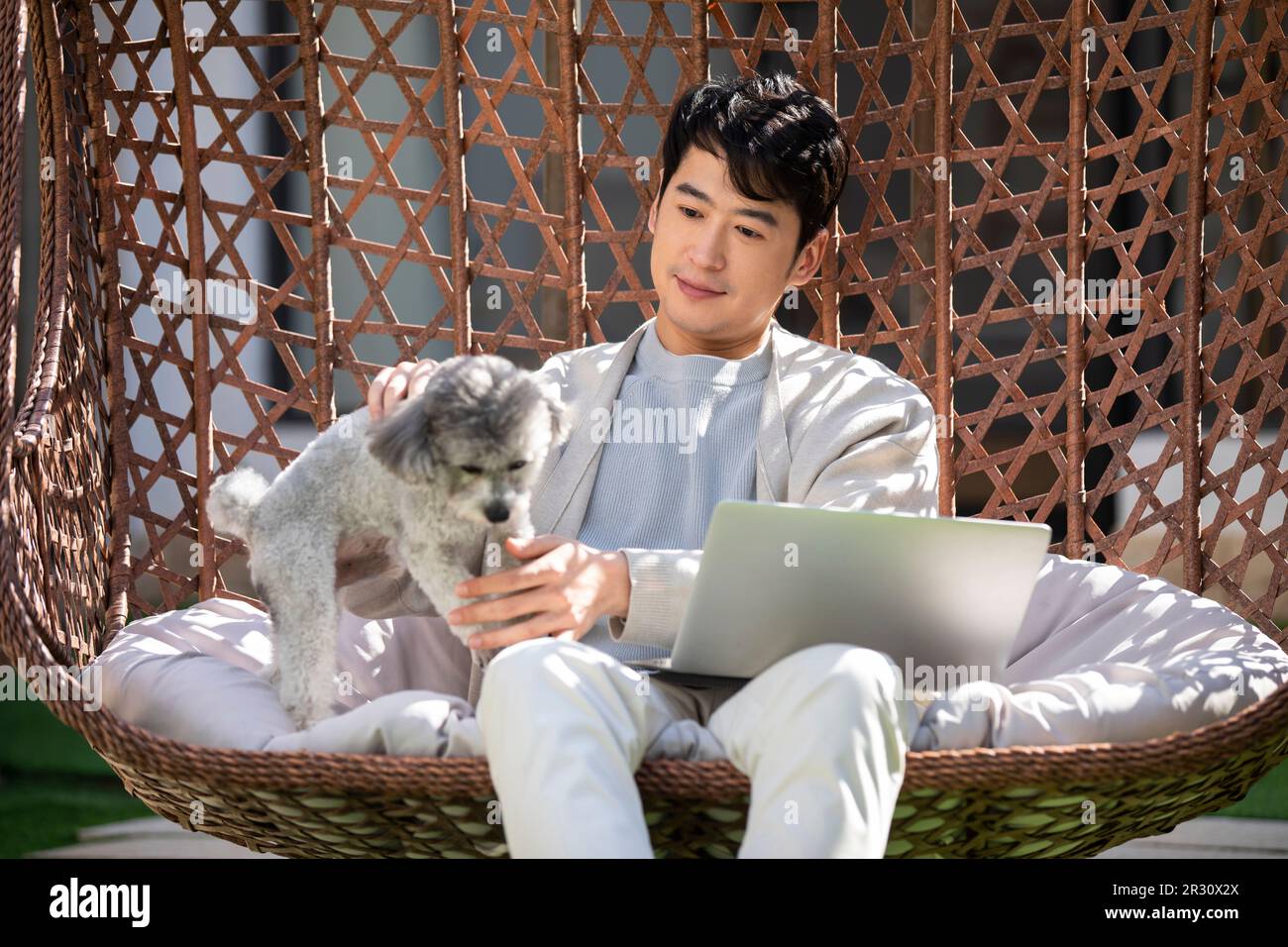 Happy mid adult Chinese man with pet dog on hanging-chair Stock Photo ...