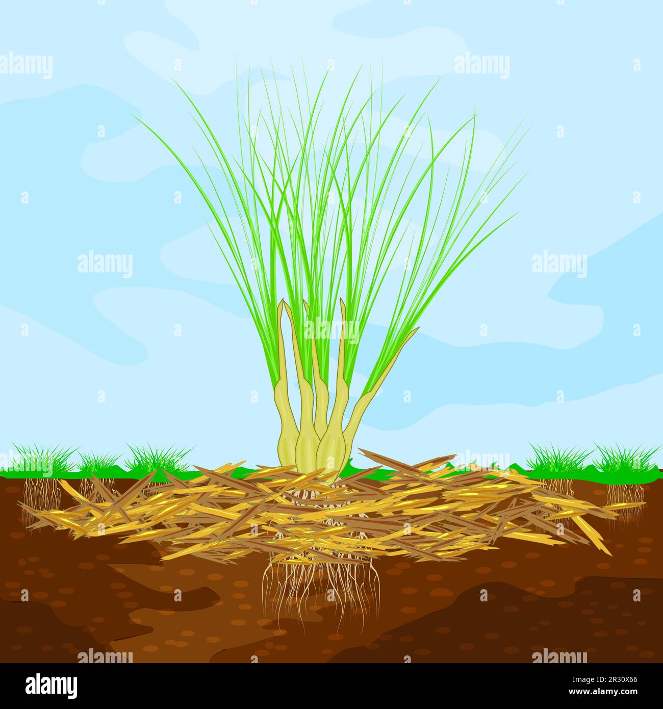 Insulate plant Stock Vector Images - Alamy