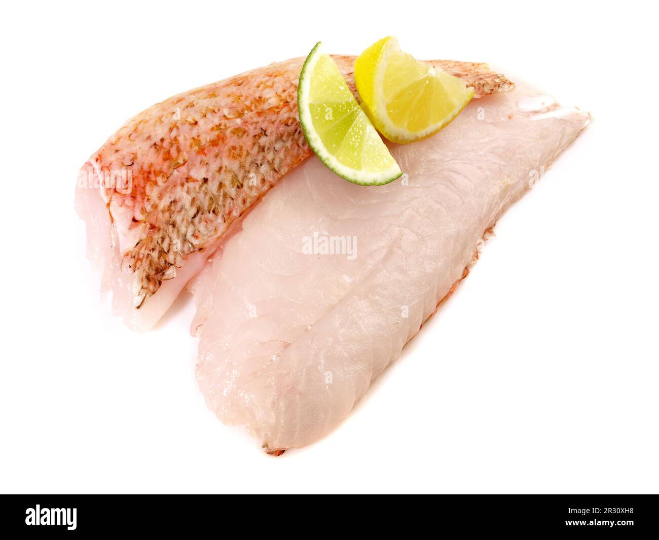 Red Dragon Head Fish Fillet isolated on white Background Stock Photo ...