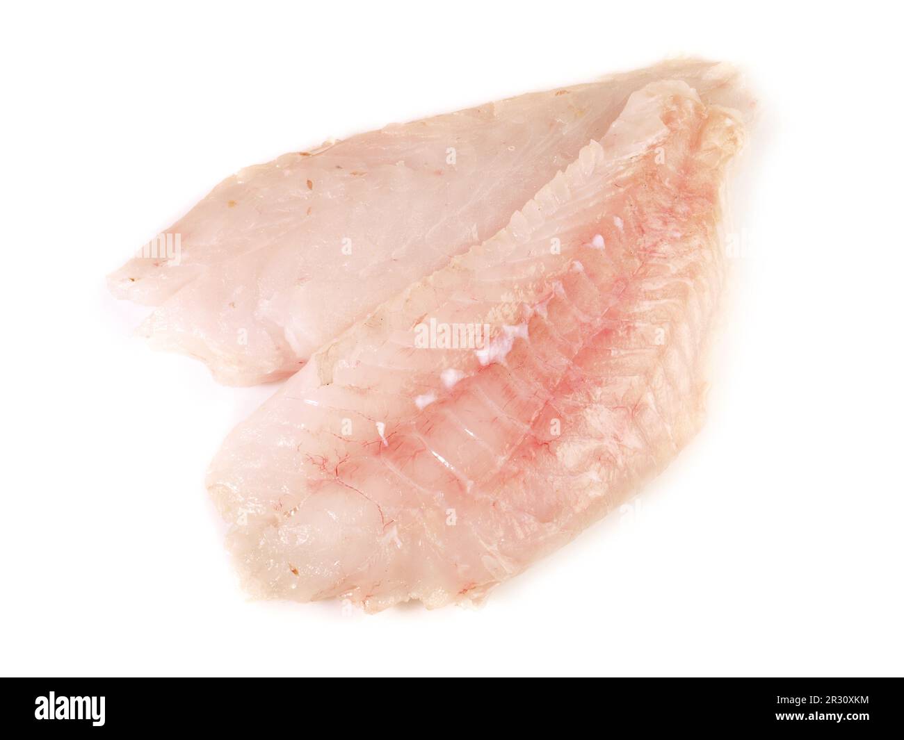 Red Dragon Head Fish Fillet isolated on white Background Stock Photo ...