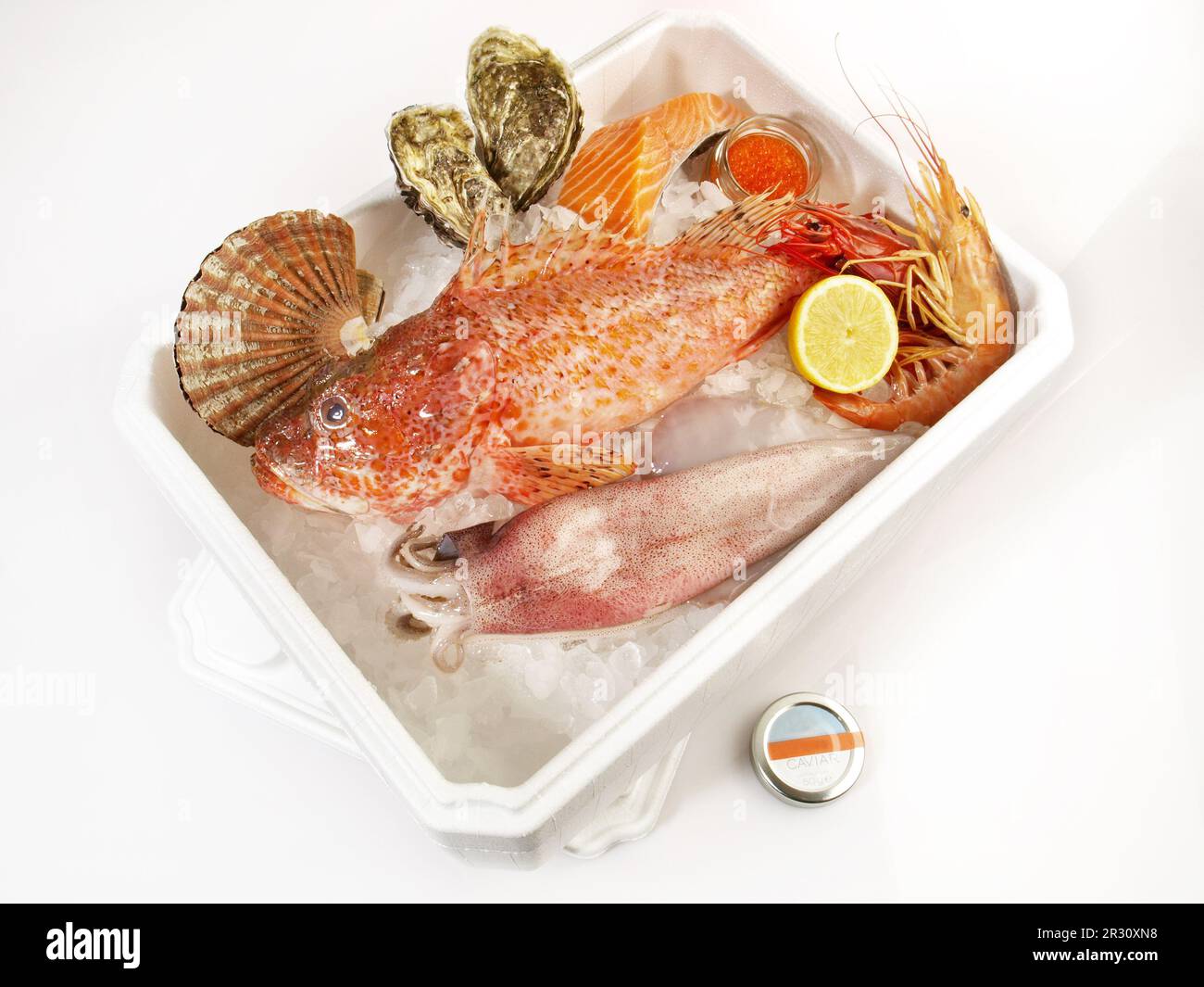 Transportation Box with Fish, Sea Food on Ice isolated on white ...
