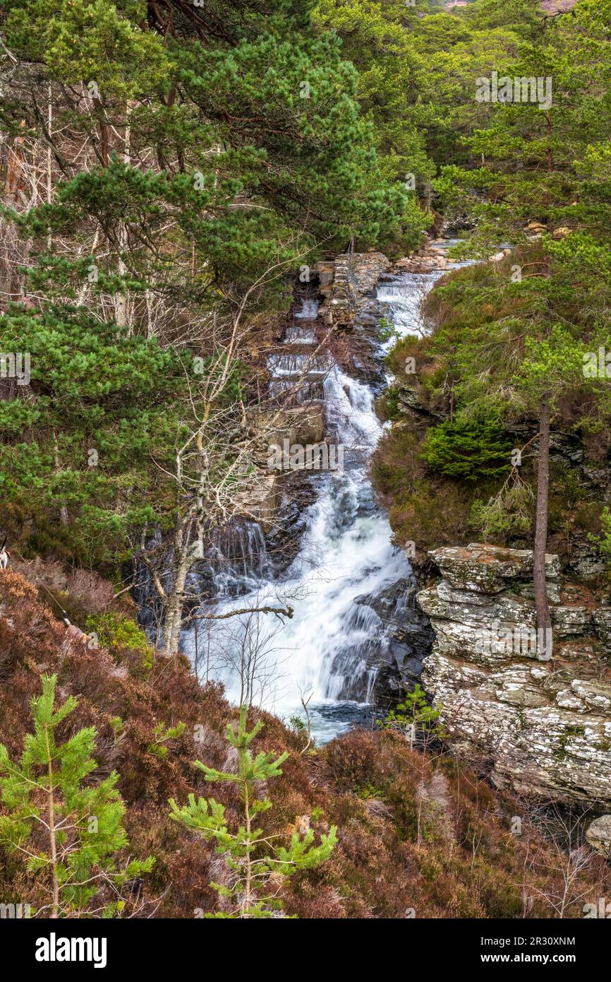 Waterfall on the River Lui as it travels through regenerated Caledonian ...