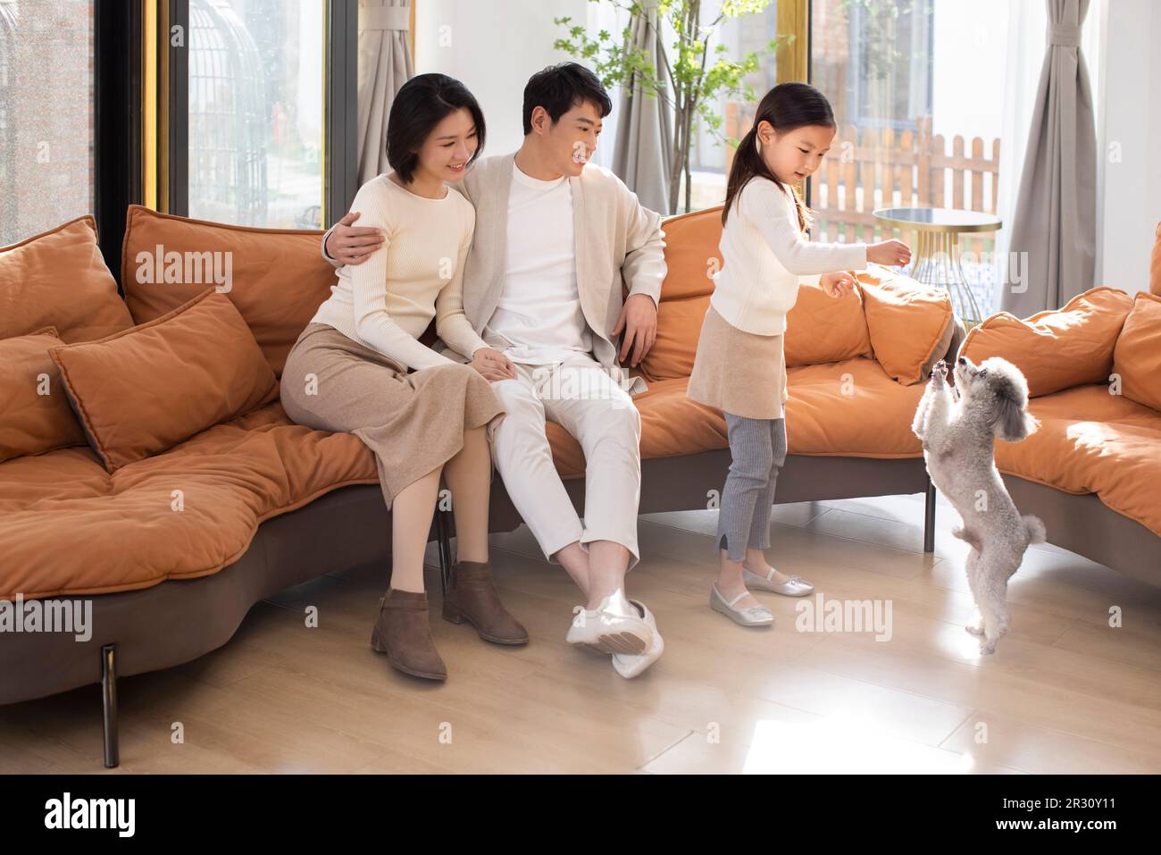 Happy young Chinese family playing with pet dog Stock Photo - Alamy
