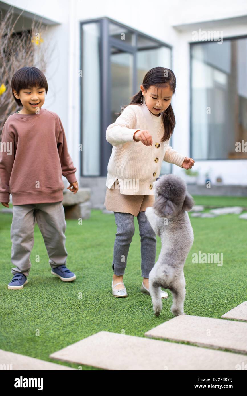 Happy little Chinese children playing with pet dog in the courtyard ...