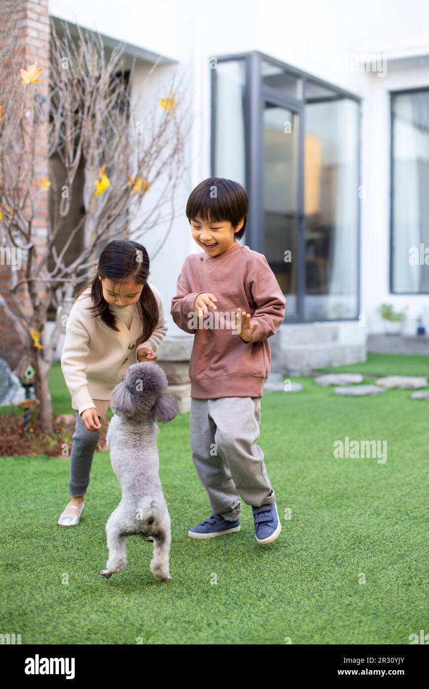 Happy little Chinese children playing with pet dog in the courtyard ...