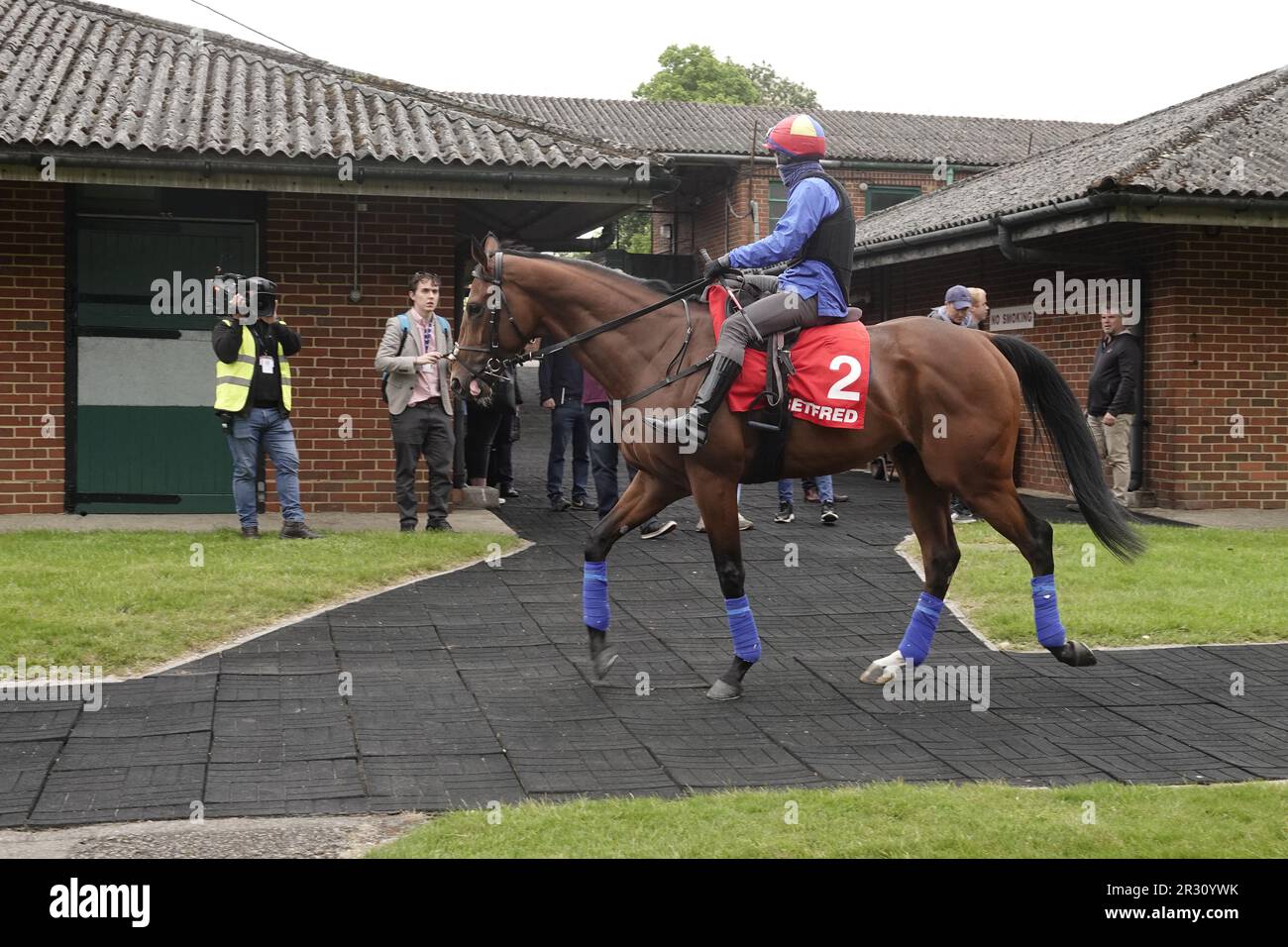 Epsom, Surrey, UK. 22nd May, 2023. John & Thady GosdenÕs horses due to ...