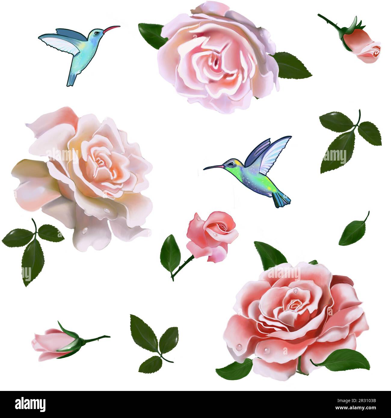pattern of roses with hummingbirds on a white background Stock Photo ...
