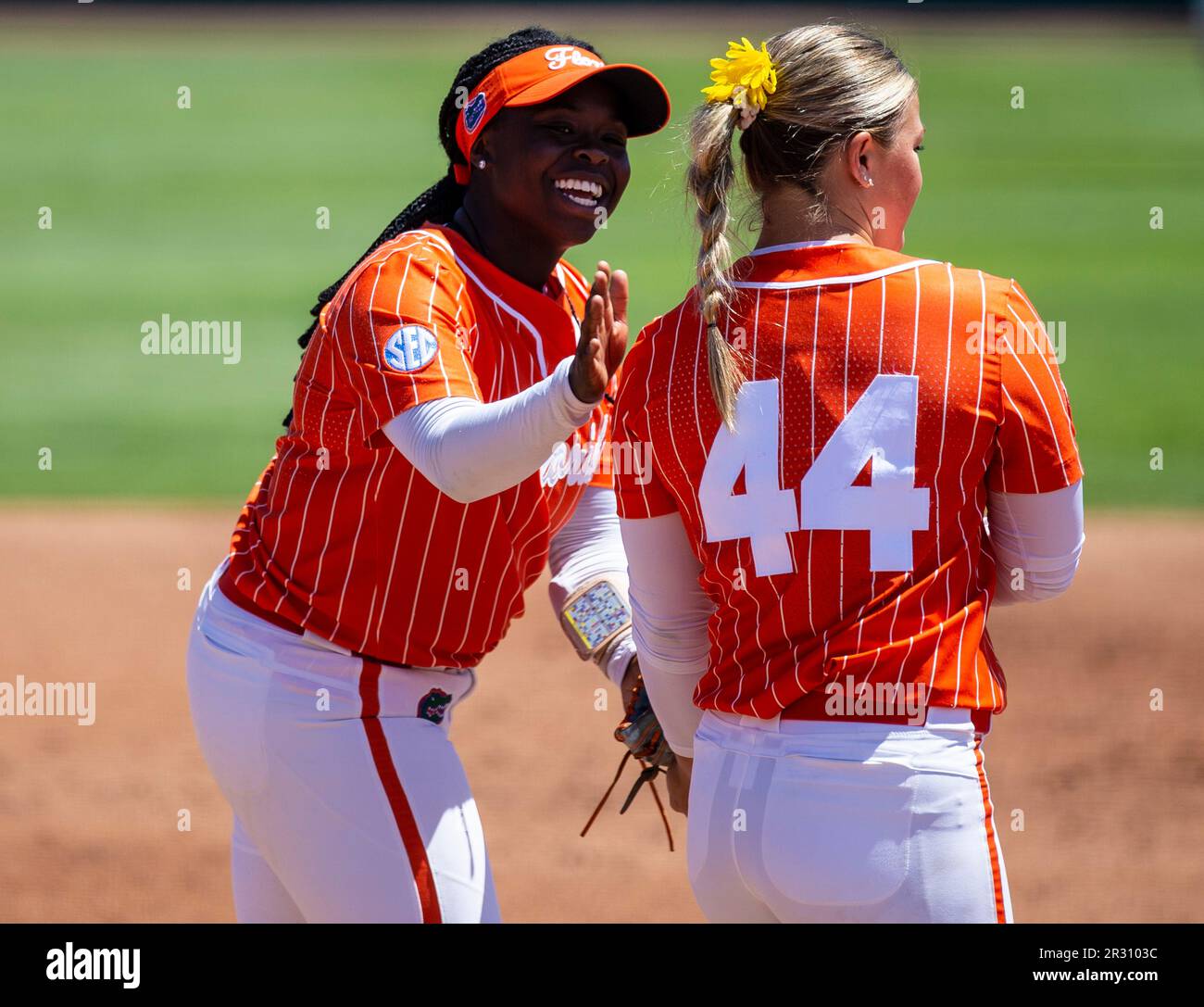 Florida third baseman charla echols hi-res stock photography and images ...