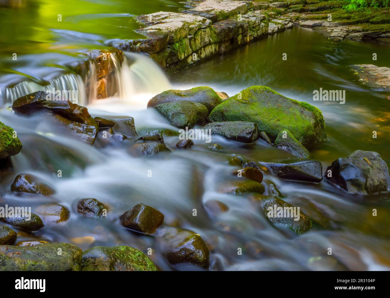 The River Brock cascading over rocks as it passes through woodland in ...