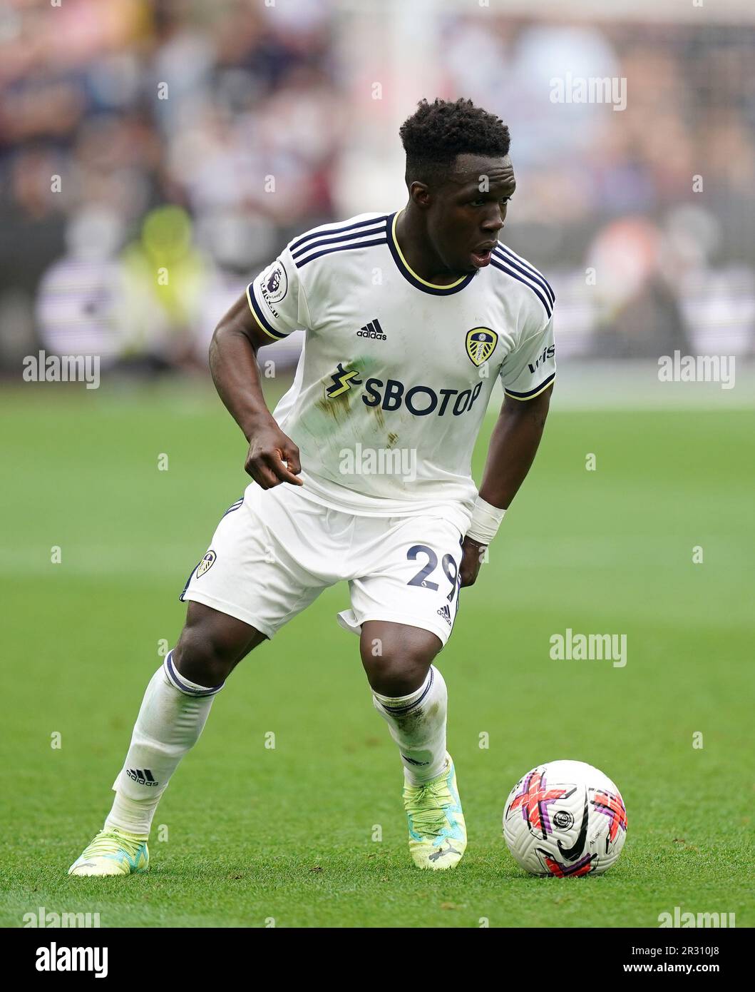 Leeds United's Wilfried Gnonto during the Premier League match at the ...