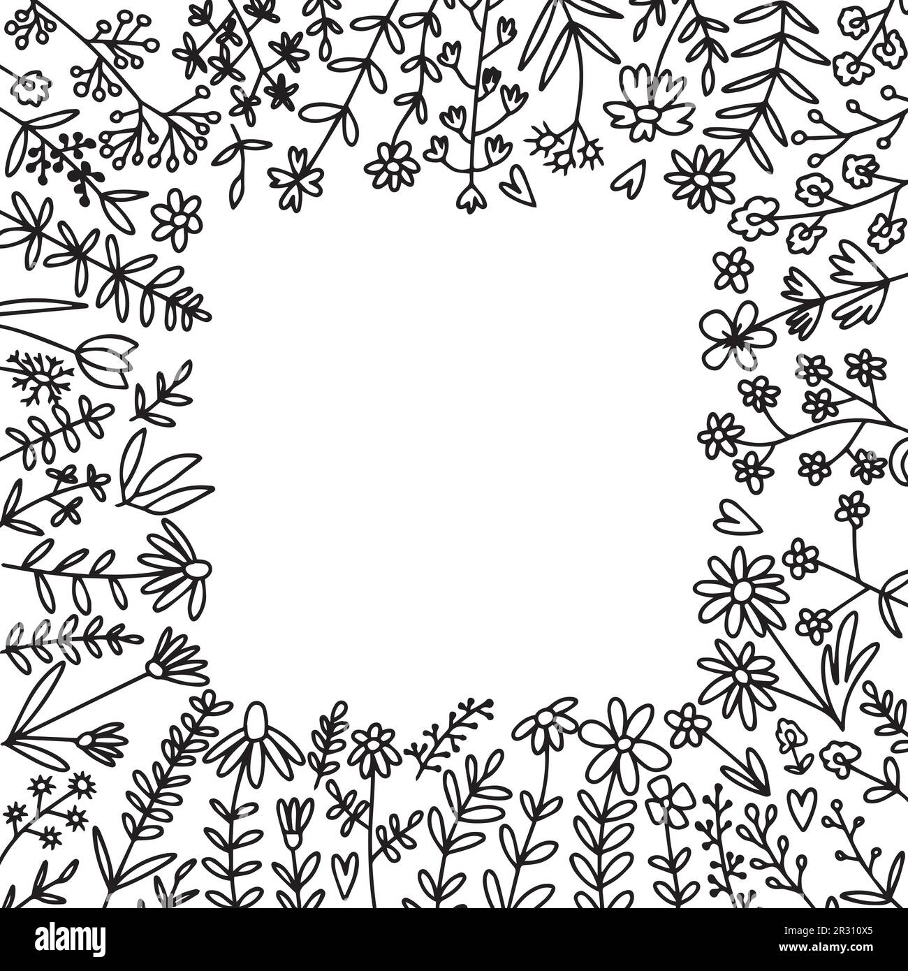 doodle wild flowers frame Stock Vector Image & Art - Alamy