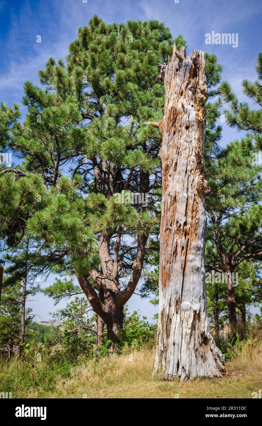 Wildcat Hills, Recreation center in Nebraska Stock Photo - Alamy