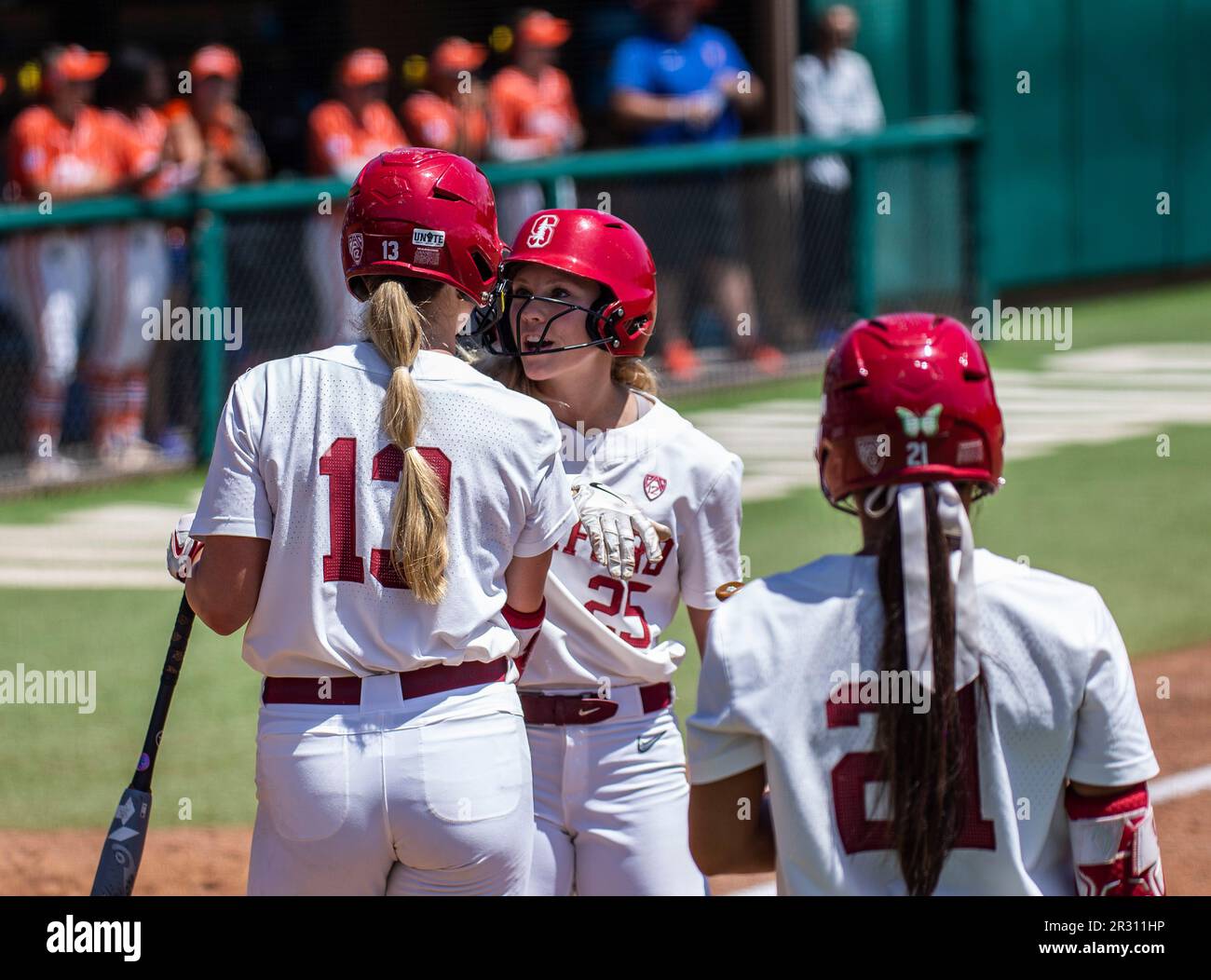Stanford outfielder taylor gindlesperger hi-res stock photography and images - Alamy