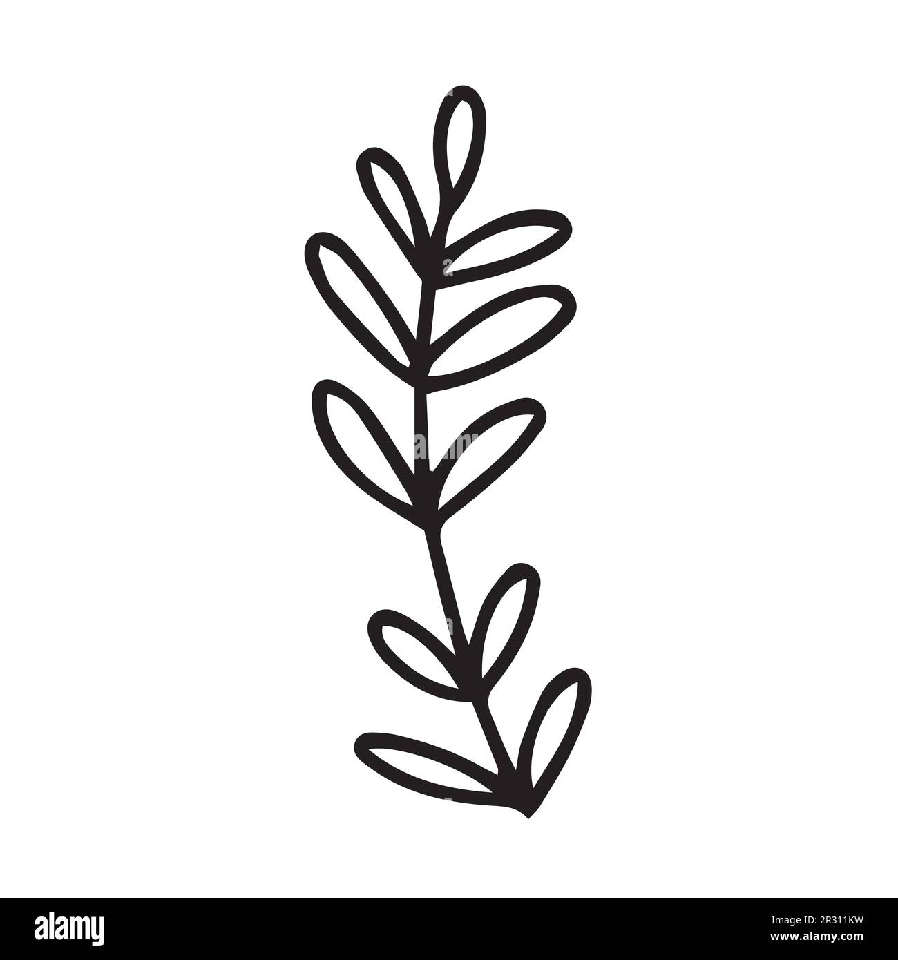 Vector hand drawn plant Stock Vector Image & Art - Alamy