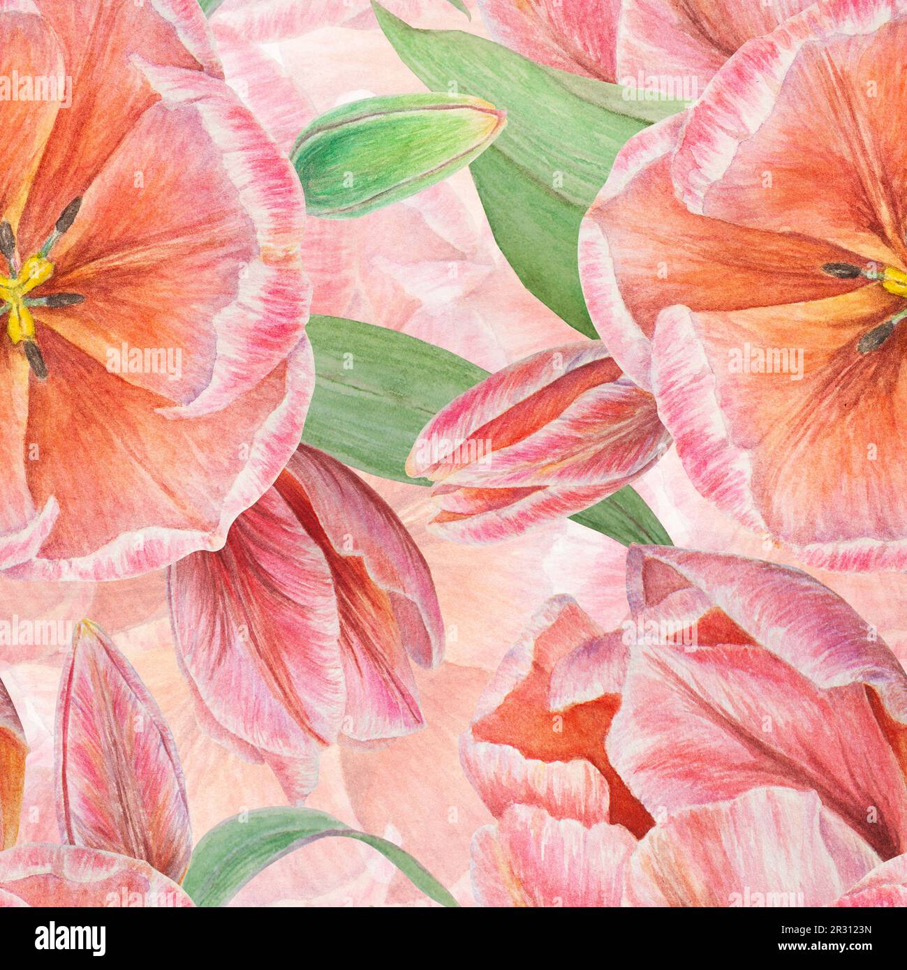 Pink tulips seamless pattern painted in watercolor, realistic botanical ...