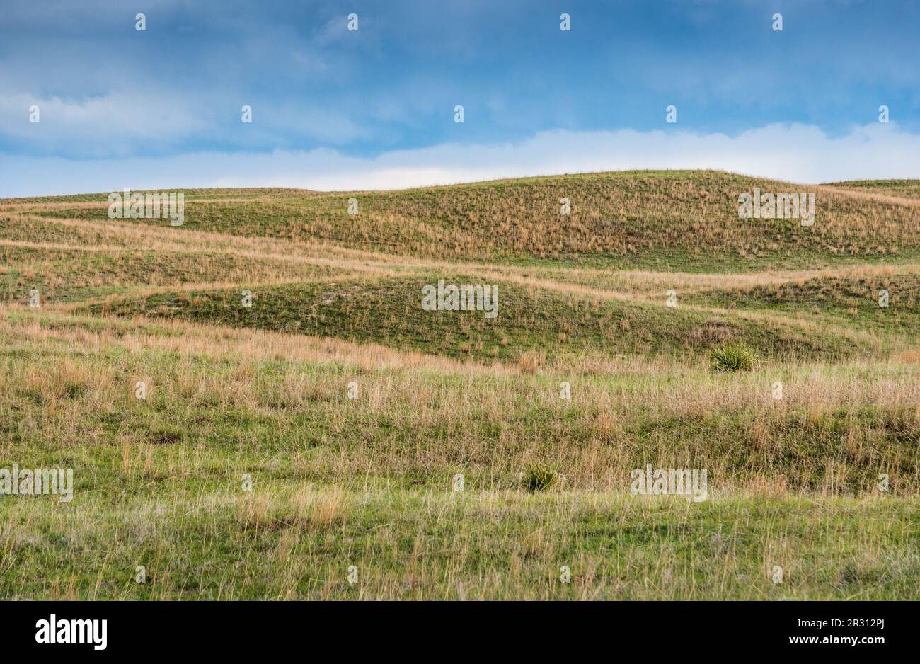 The Sandhills of north-central Nebraska Stock Photo - Alamy