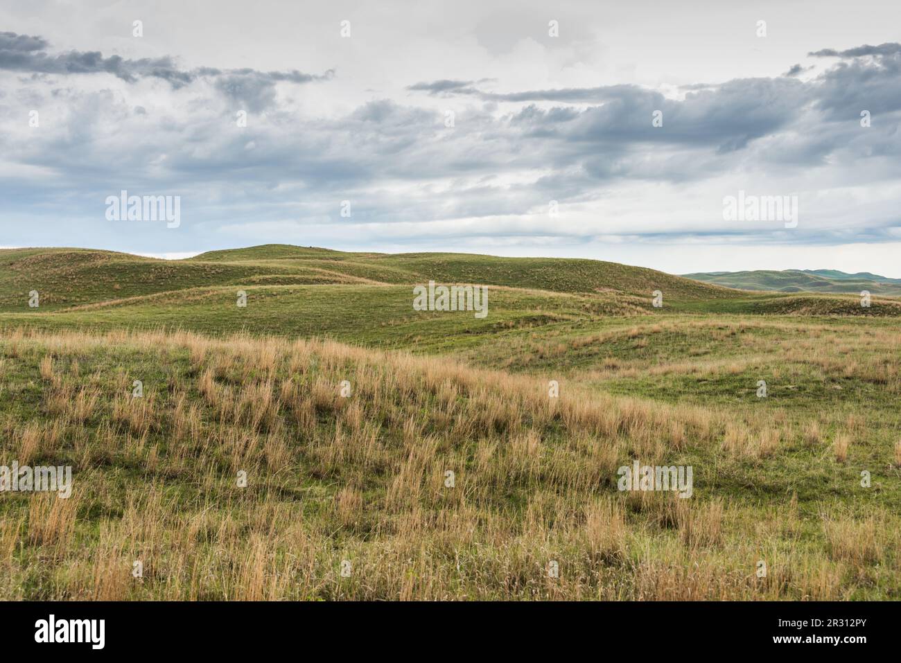The Sandhills of north-central Nebraska Stock Photo - Alamy