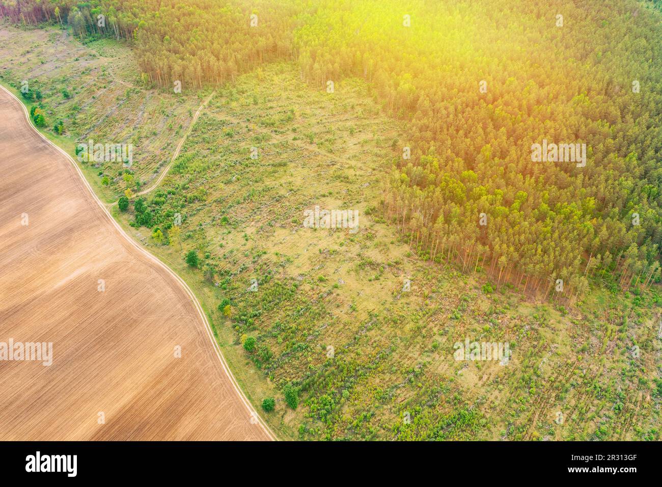 Aerial View Of Field And Deforestation Area Zone Landscape. Top View Of ...