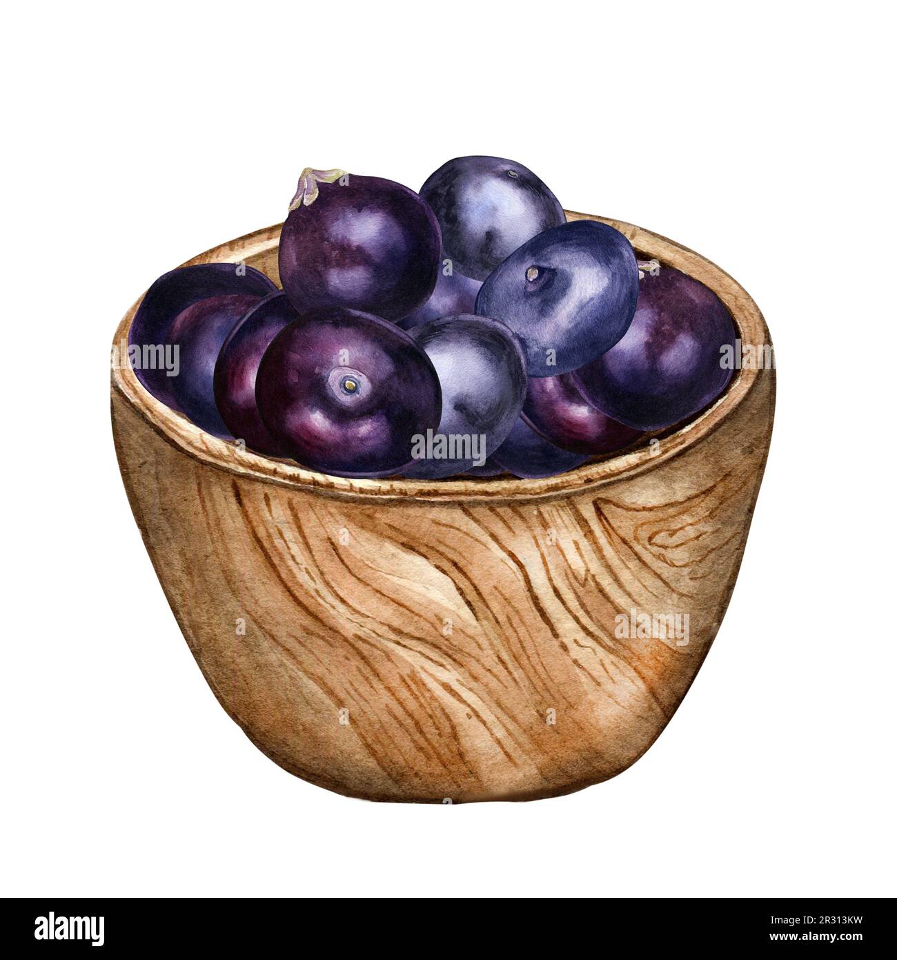 Composition of acai berries in wooden bowl watercolor illustration ...