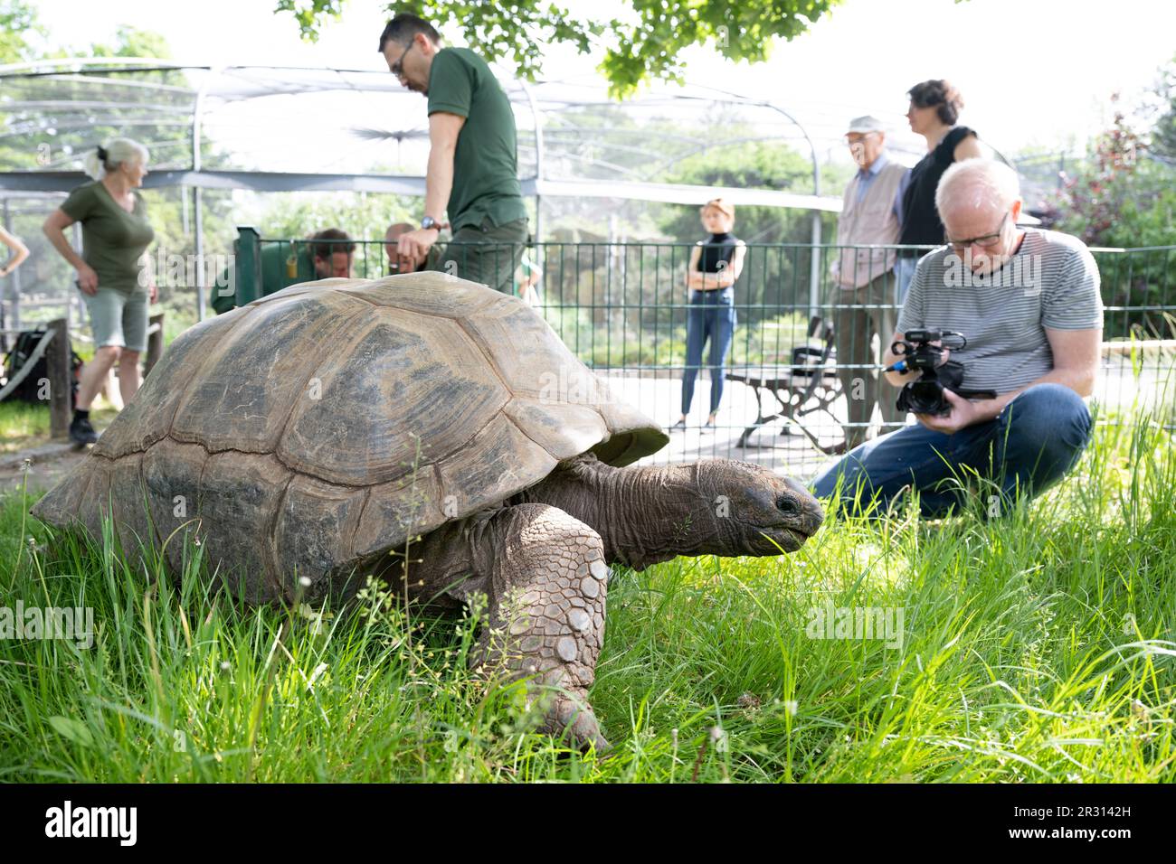 Tortoise stands hi-res stock photography and images - Alamy