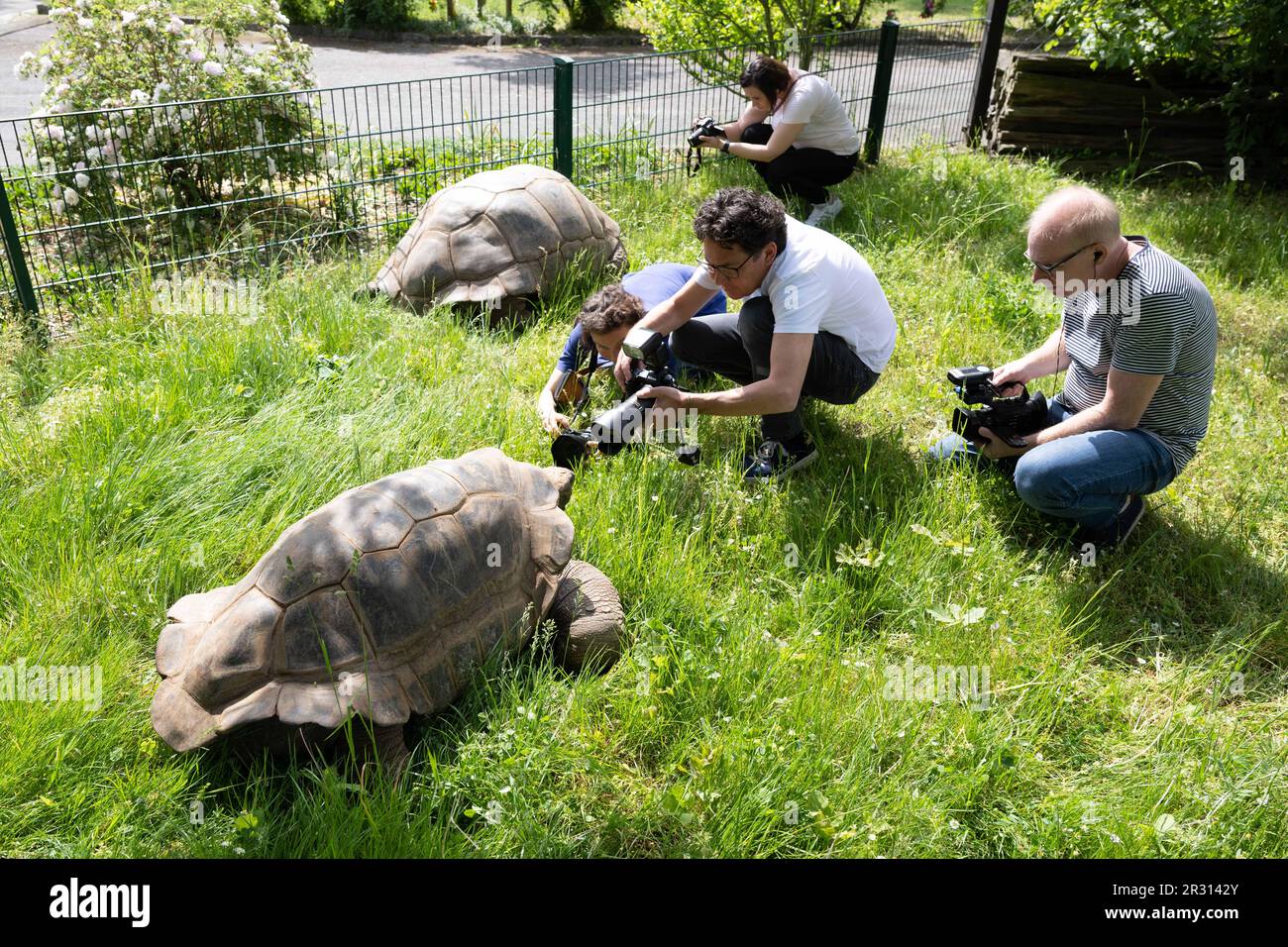 Temperature of journalists hi-res stock photography and images - Alamy