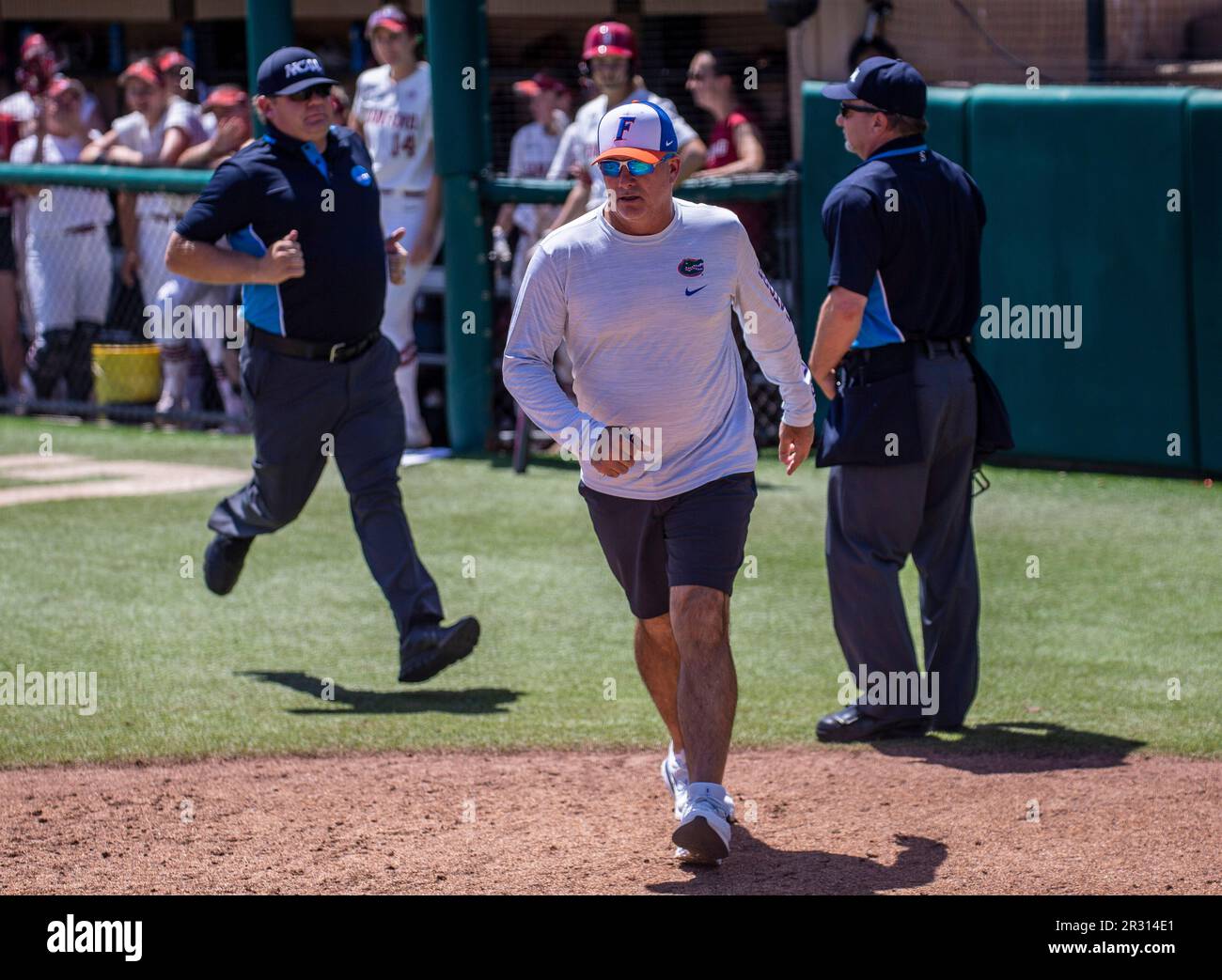 May 21 2023 Palo Alto CA U.S.A. Florida head coach Tim Walton upset ...