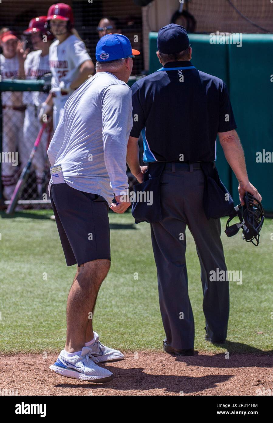 May 21 2023 Palo Alto CA U.S.A. Florida head coach Tim Walton upset ...