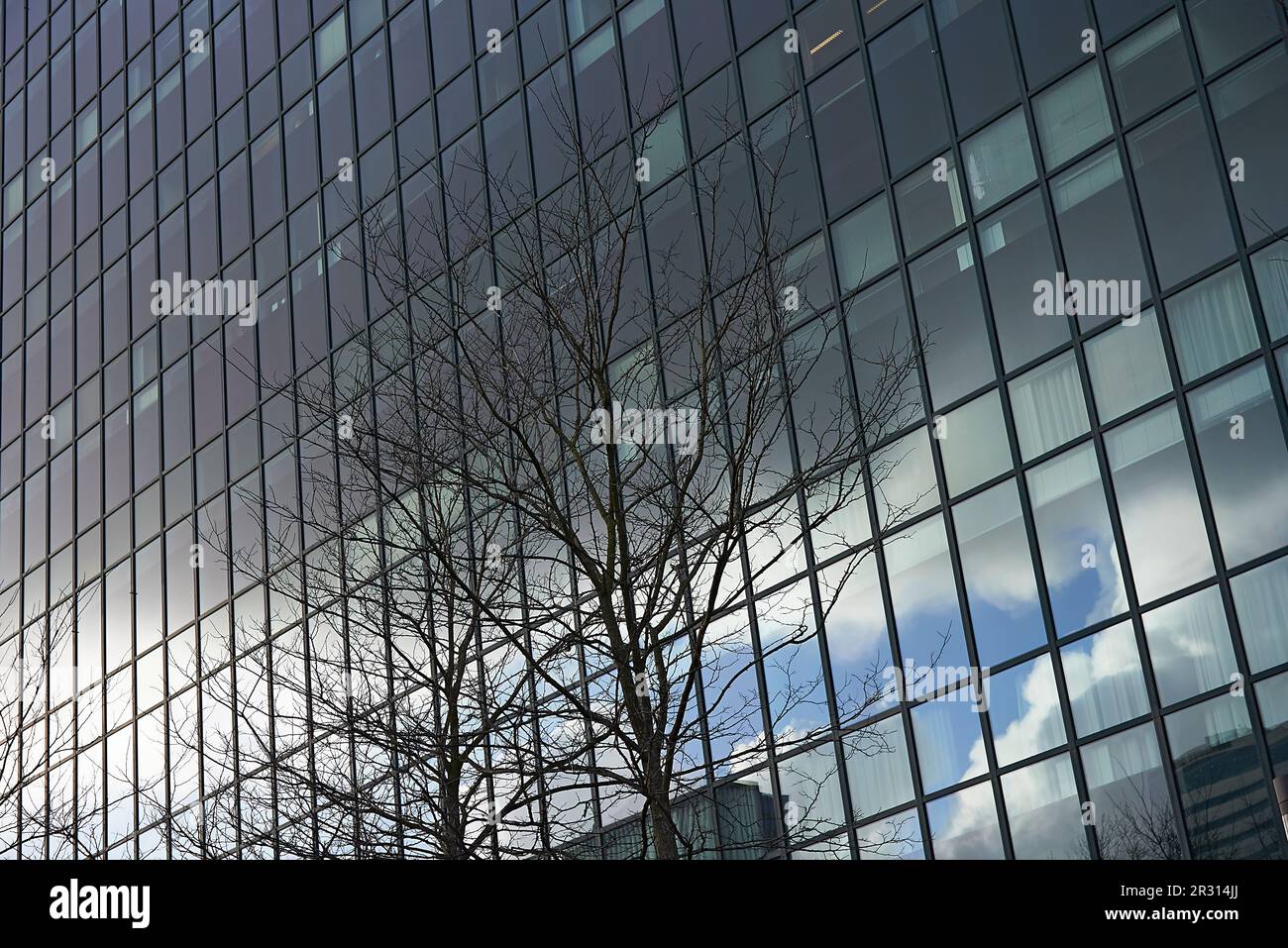 Reflective glass windows on the facade of a high rise office building ...
