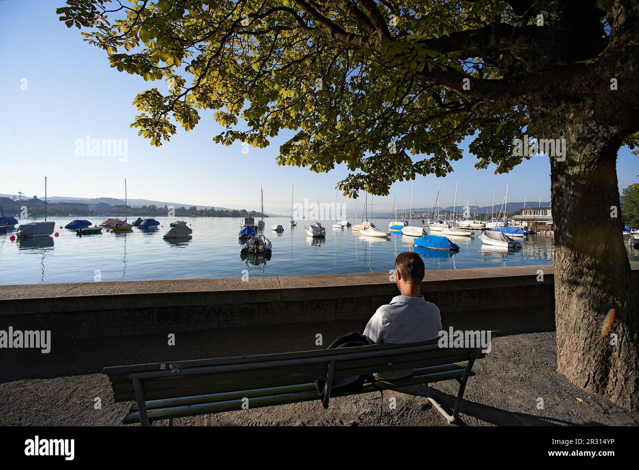 Man sitting on a bench overlooking the harbour in the city of Zurich ...