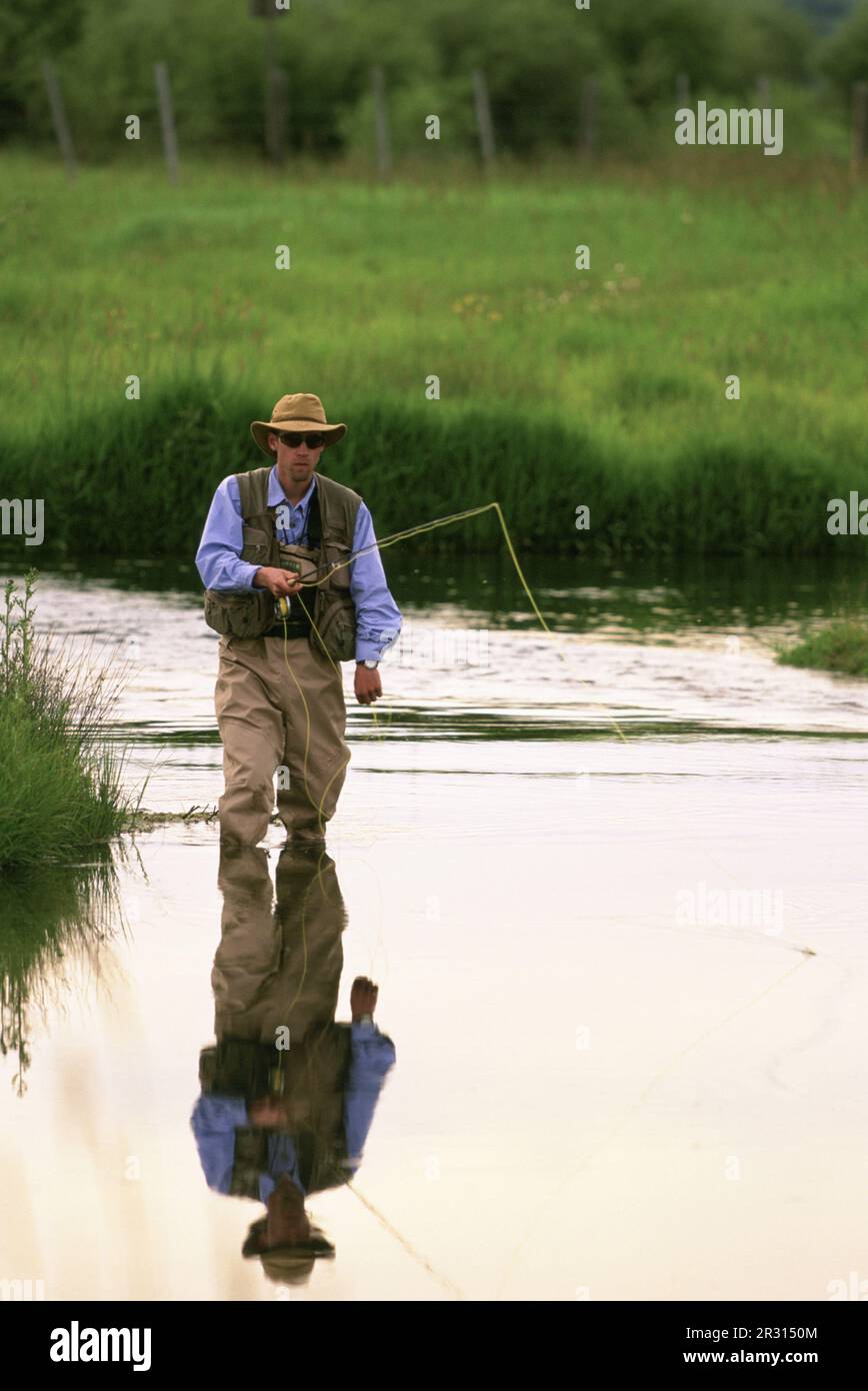 A fly-fisherman casts for trout with his reflection shown on the water ...